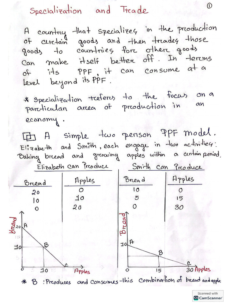 Specialization and Trade | PDF