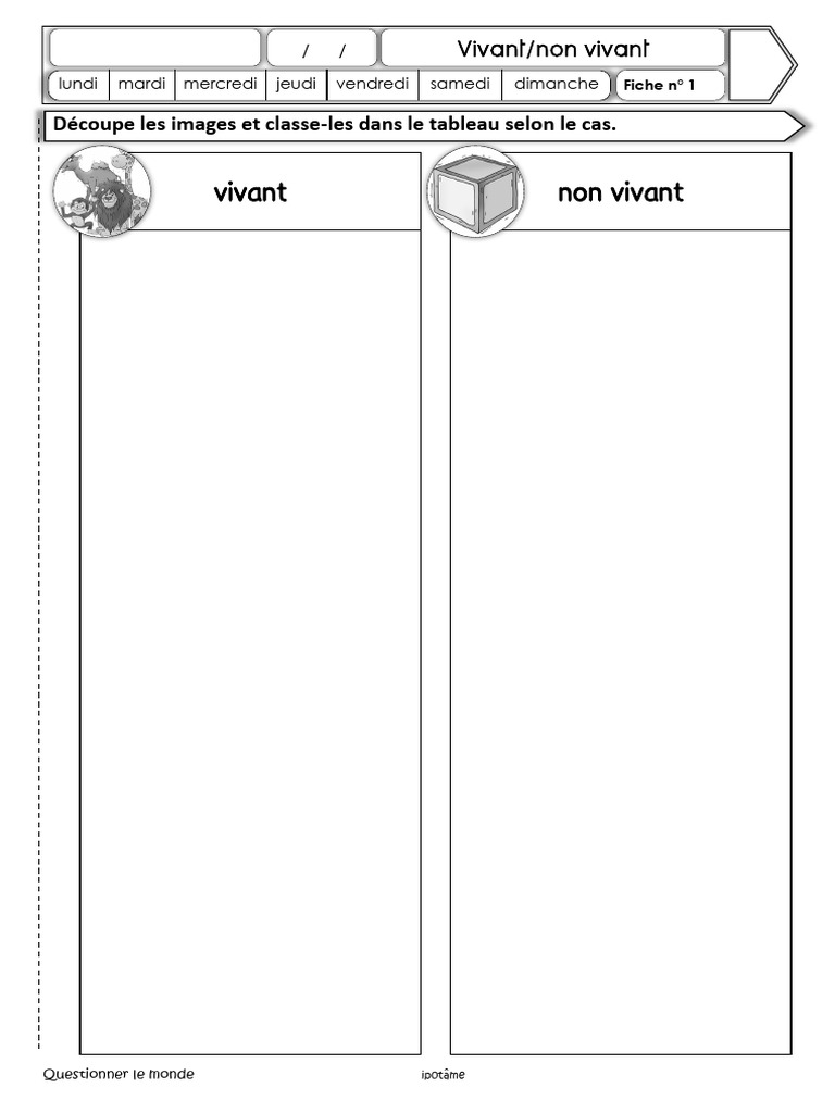 Classification Vivant/Non Vivant | PDF