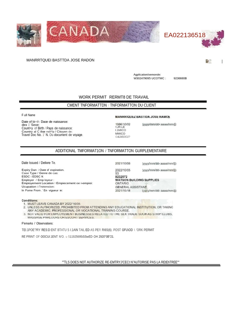 Work Permit Document Details | PDF
