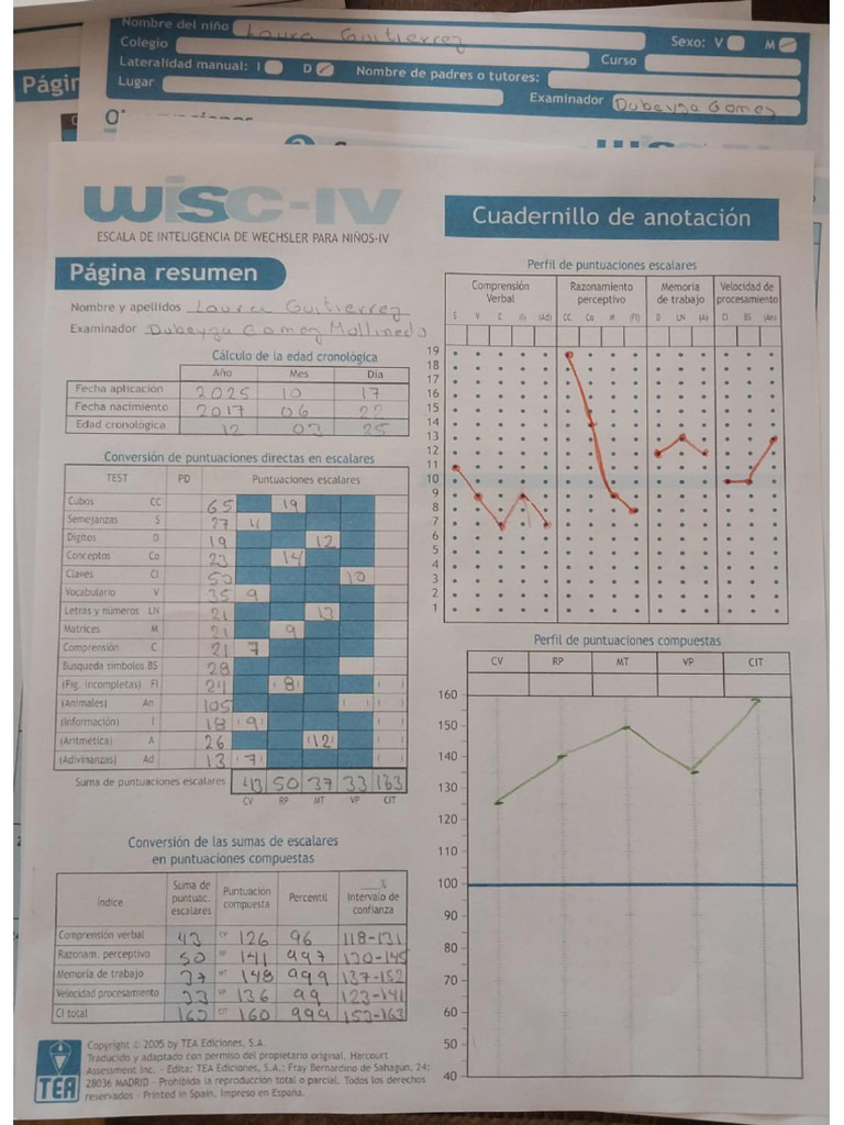 Aplicación Del Test Wais | PDF