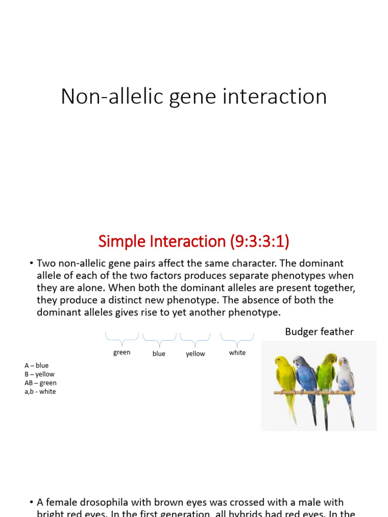 Non-Allelic Gene Interaction | PDF | Dominance (Genetics) | Epistasis
