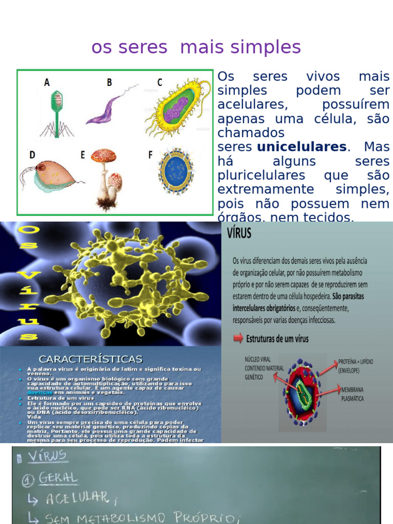 Os Seres Mais Simples | PDF | Bactérias | Fungo