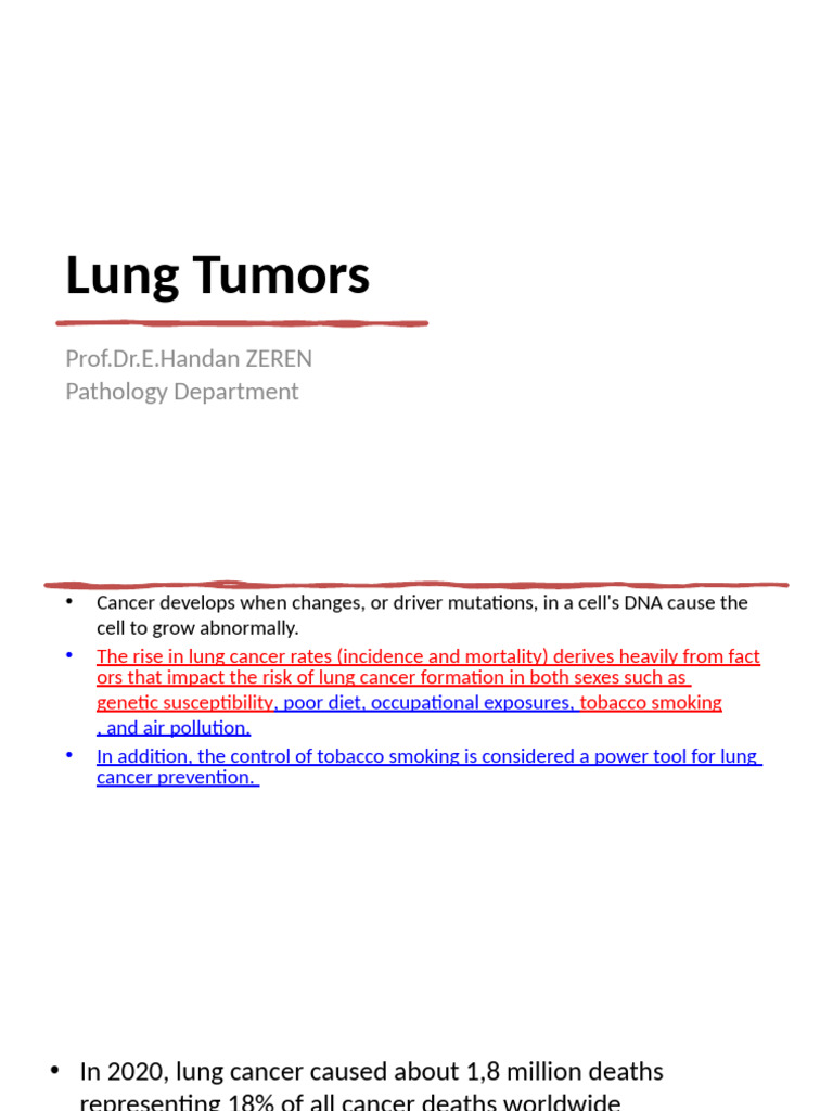 Lung Tumors - Student 2025 | PDF | Tyrosine Kinase | Epidermal Growth ...