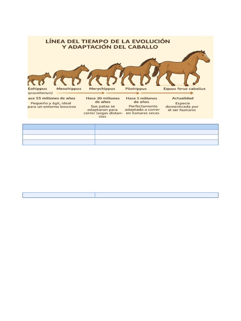 Evolución del caballo en la historia | PDF