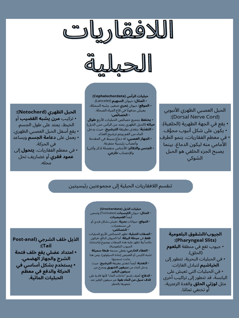 Blue Simple Reading BME Summary Worksheet PDF | PDF