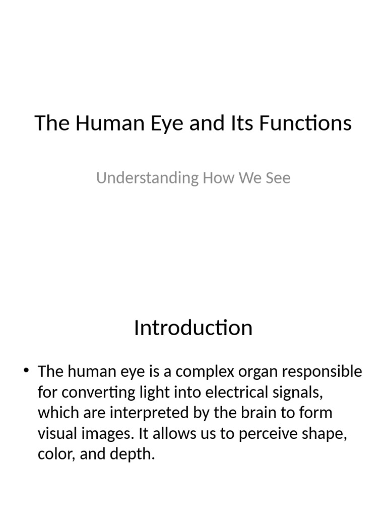 Functions and Structure of the Eye | PDF