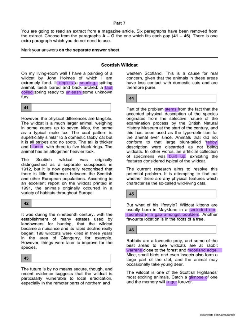 C1 Advanced Sample Paper 1 RUE 2022 (5) - 251013 - 171429 | PDF