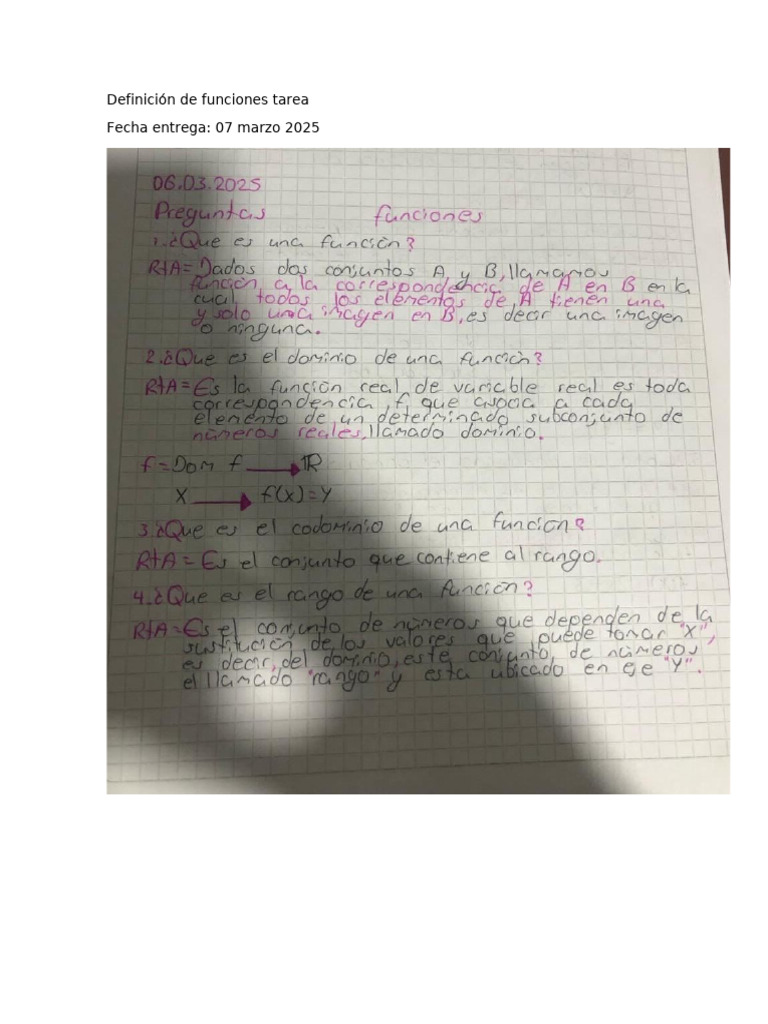 Definición de Funciones Tarea | PDF