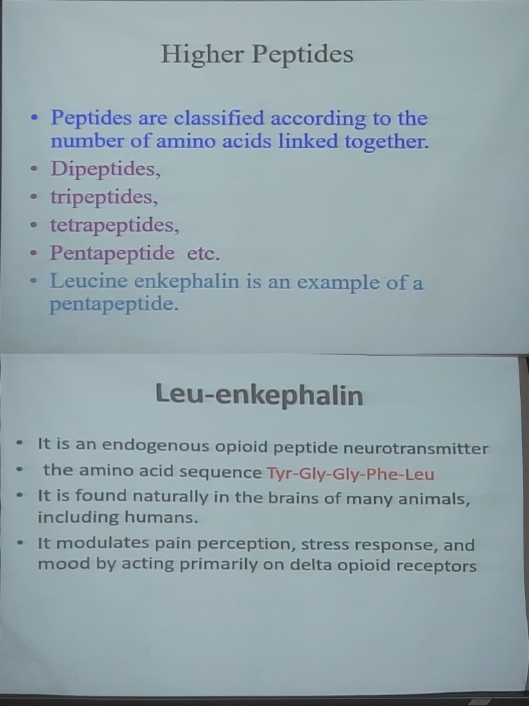 Peptide | PDF
