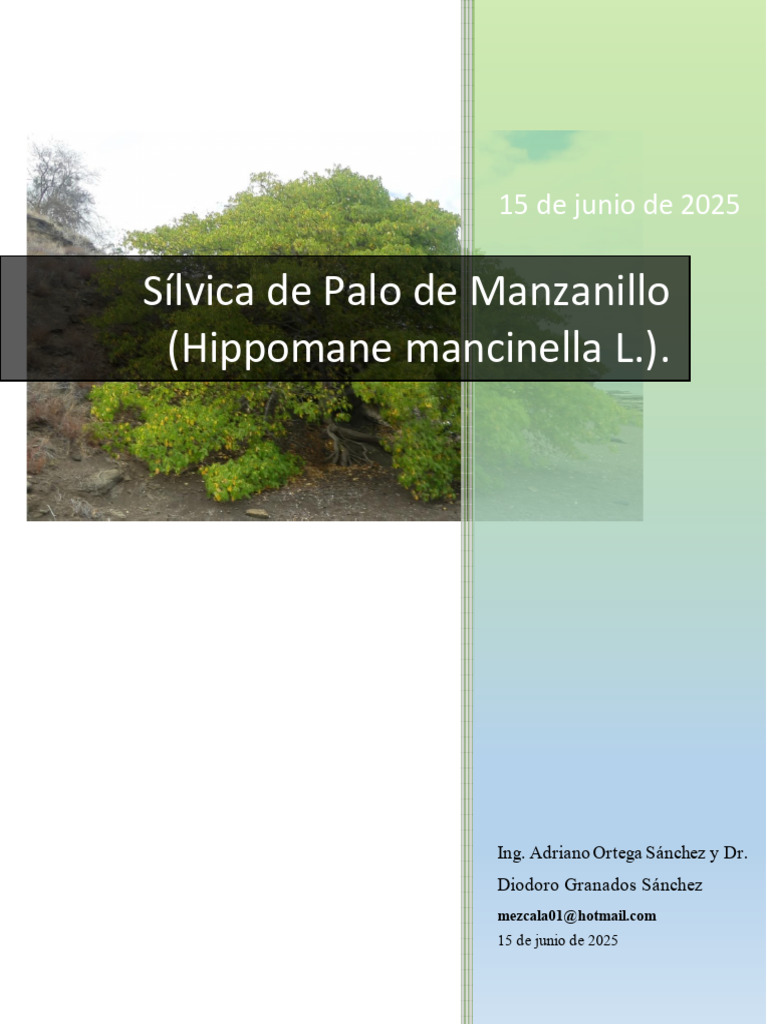 061 Silvica de Palo de Manzanillo (Hippomane Mancinella) | PDF ...