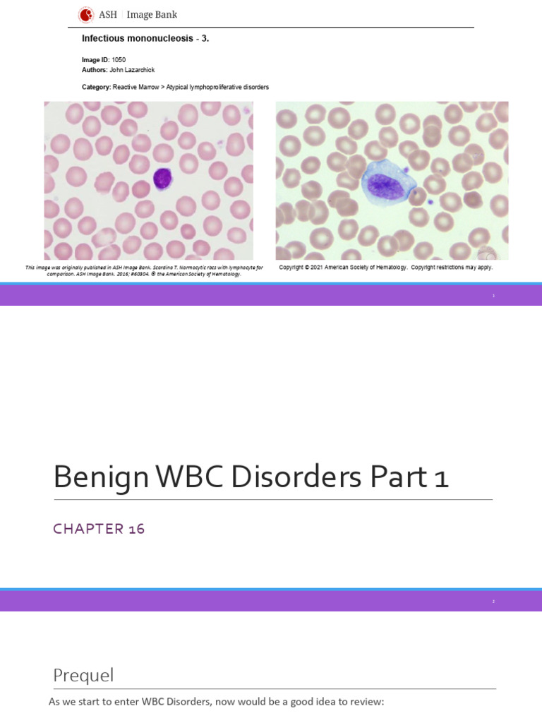 19 - Benign White Blood Cell Disorders Part I | PDF | White Blood Cell ...