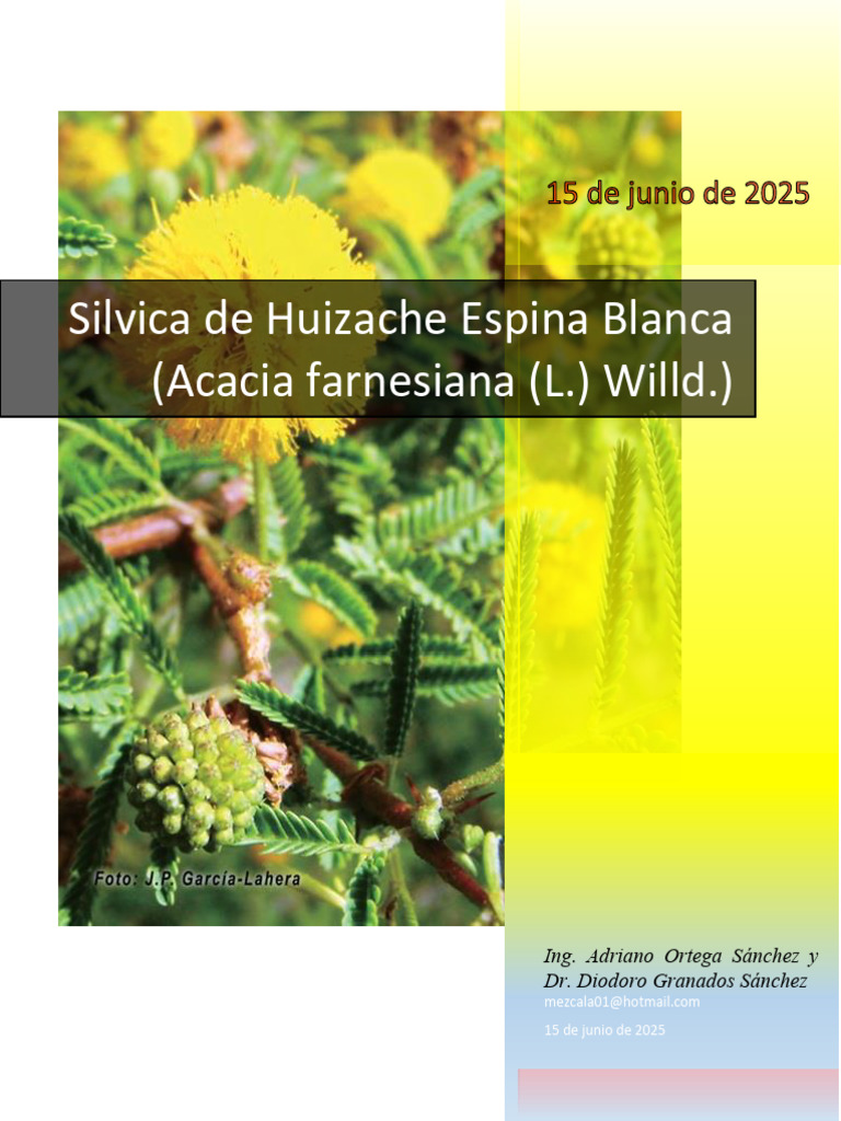 Silvica de Huizache Espina Blanca: Guía Completa | PDF | Ramas de la ...