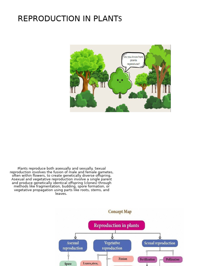 Modes of Plant Reproduction Explained | PDF | Plant Reproduction ...
