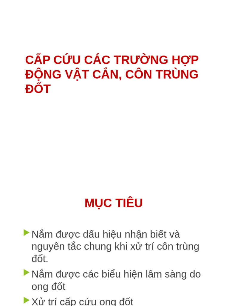 4. Côn trùng đốt | PDF