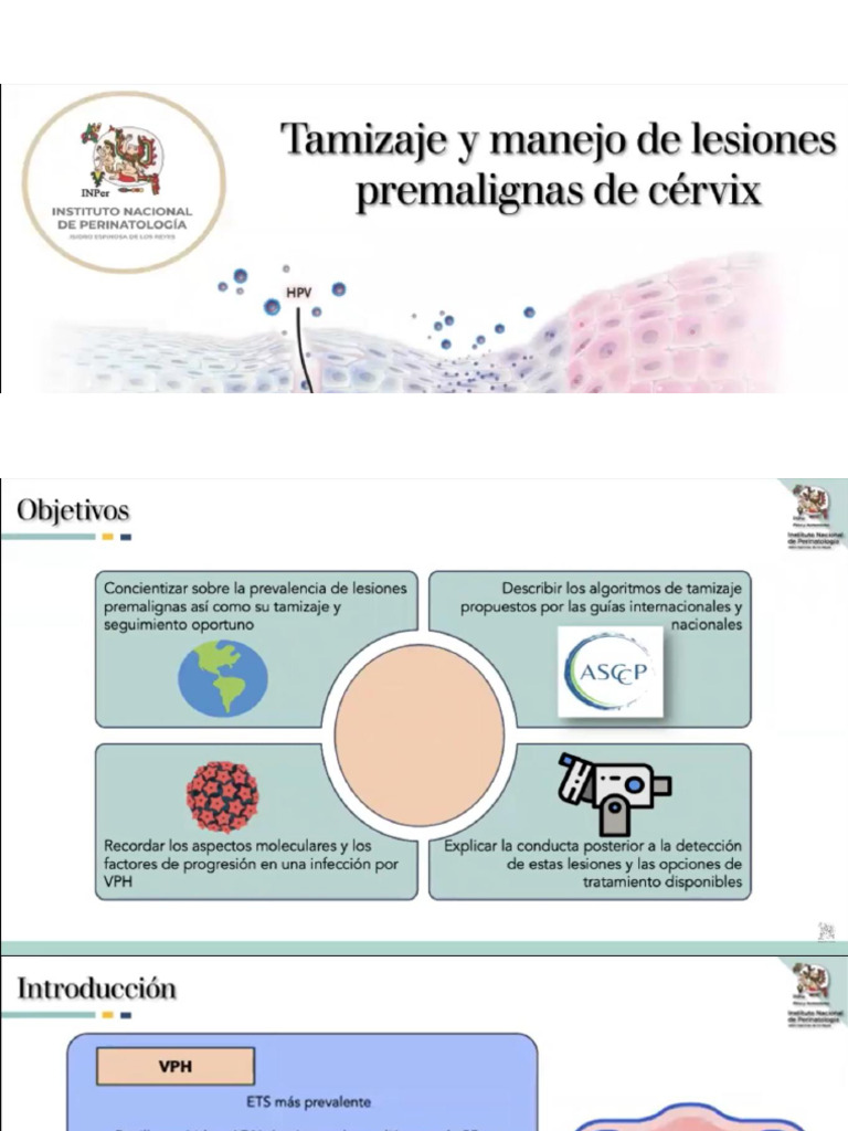 HPV 1 | PDF
