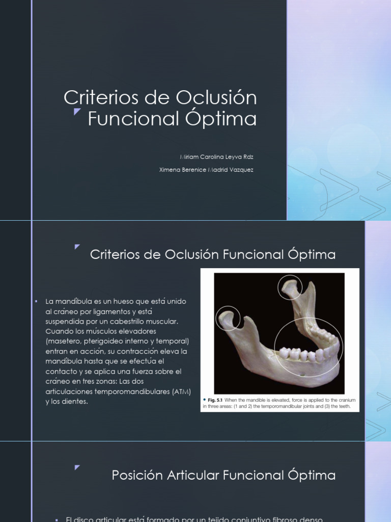 5 Criterios de Oclusión Funcional Óptima | PDF | Articulación | Sistema ...