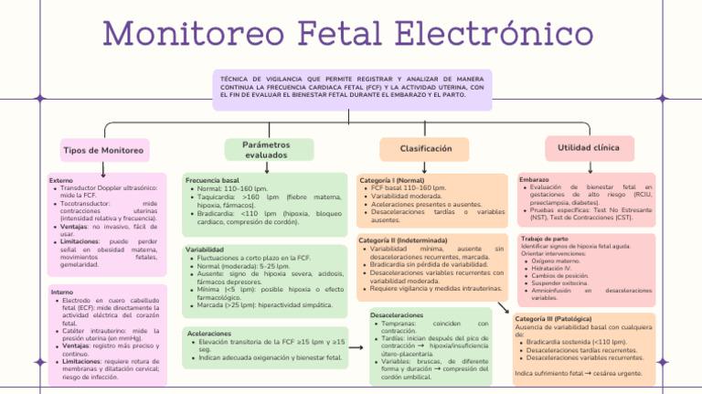 Resumen - Monitoreo Fetal Electrónico | PDF | El embarazo | Parto