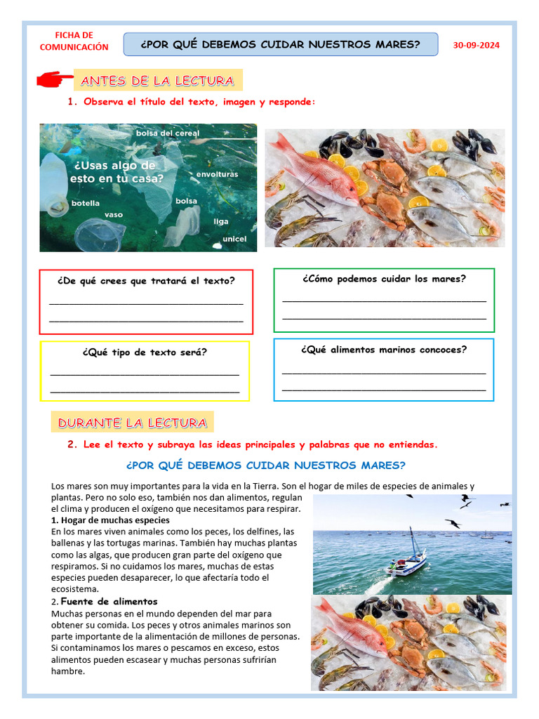Cuida nuestros mares: su importancia | PDF | Mar | Agua
