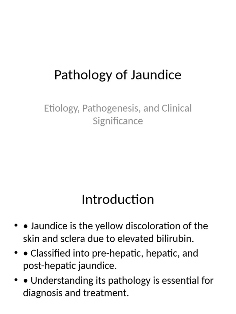 Understanding Jaundice Pathology | PDF | Liver | Exocrine System