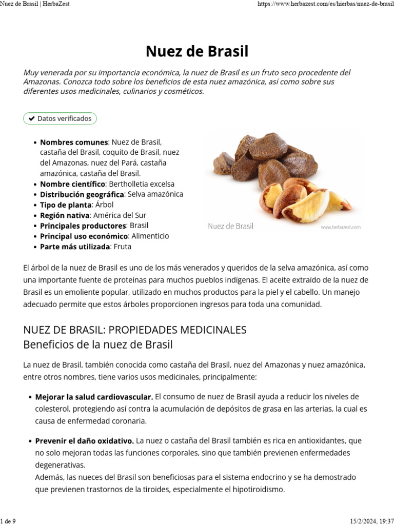 Nuez de Brasil HerbaZest | PDF | Nuez | Nuez