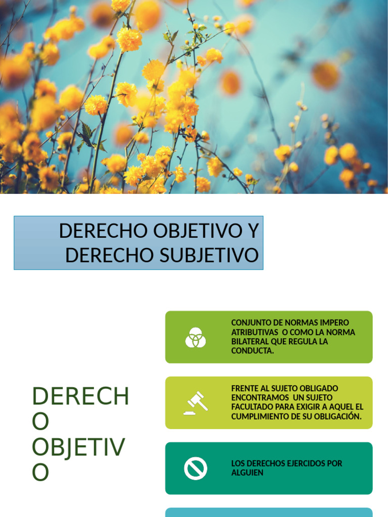 Derecho Objetivo y Subjetivo Corregida | PDF | Derechos | Filosofía ...