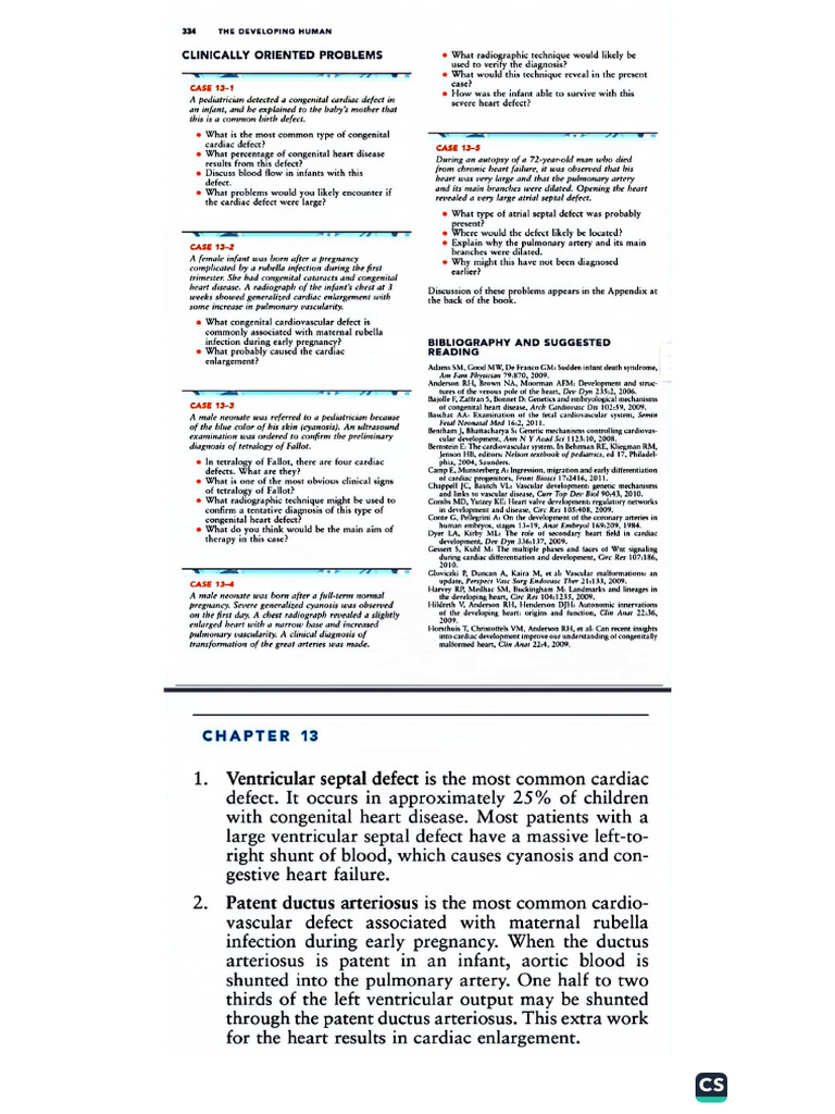 CVS Embryology Clinical From KLM | PDF