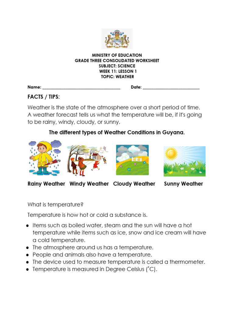 Grade 3 Science: Weather Worksheet | PDF