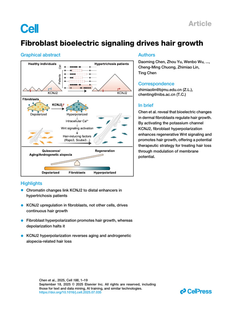 Fibroblast Signaling Enhances Hair Growth | PDF | Cell Potency | Mutation