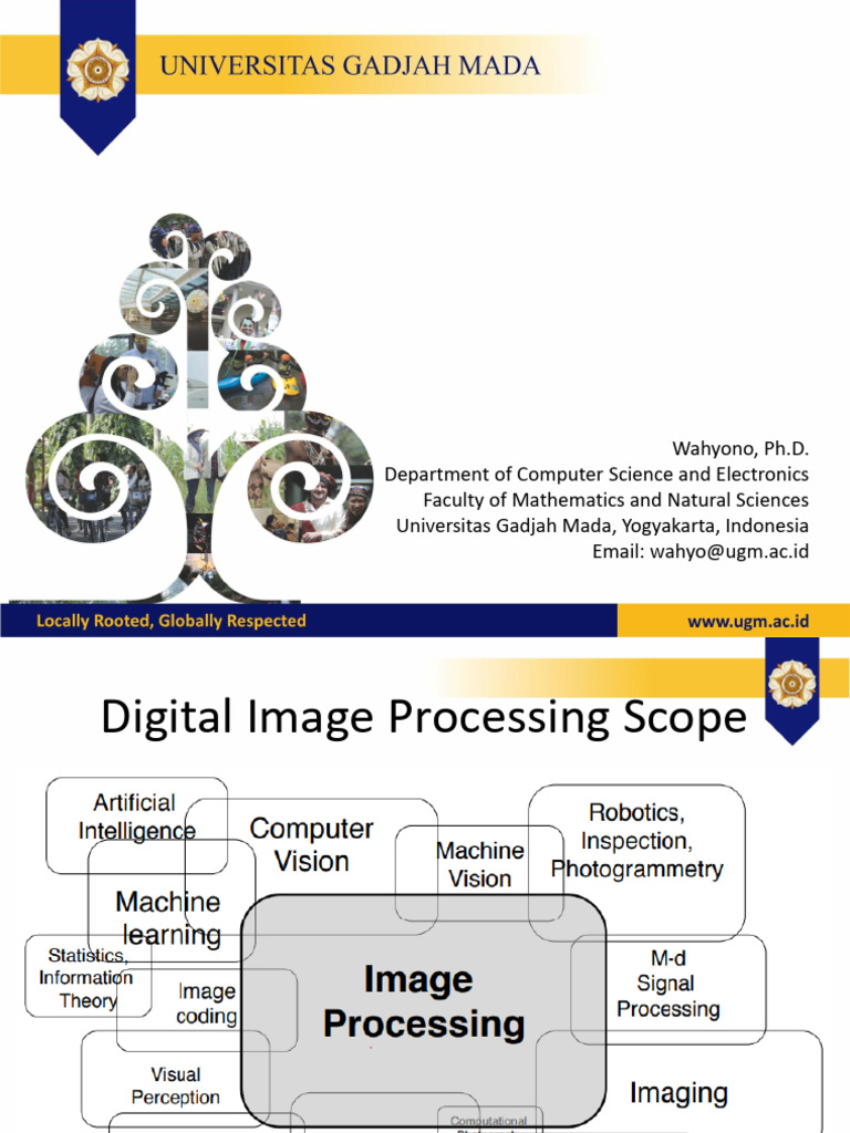 Digital Image Processing Overview | PDF | Digital Image | Image