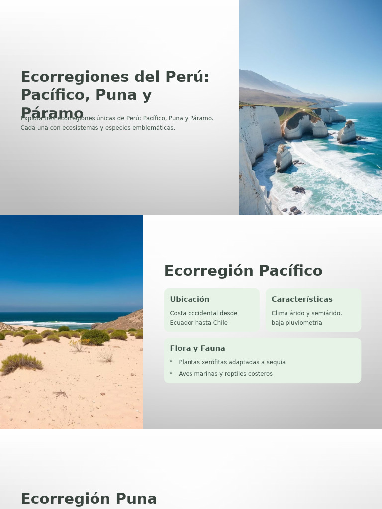 Ecorregiones Del Peru Pacifico Puna y Paramo | PDF