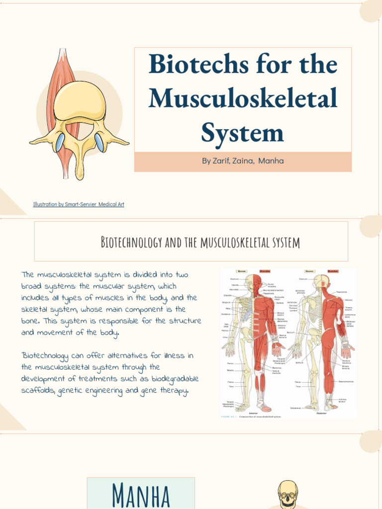Biotechnologies for Musculoskeletal Health | PDF | Gene Therapy ...