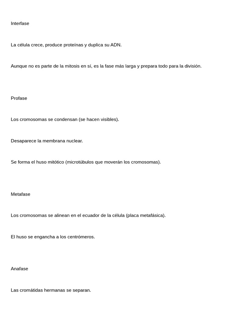Claro ? Te Lo Hago Un Poco Más Detallado Pero Aún Resumido - 20251024 ...