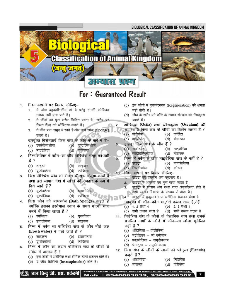 Animal Kingdom Classification Guide | PDF | Zoology