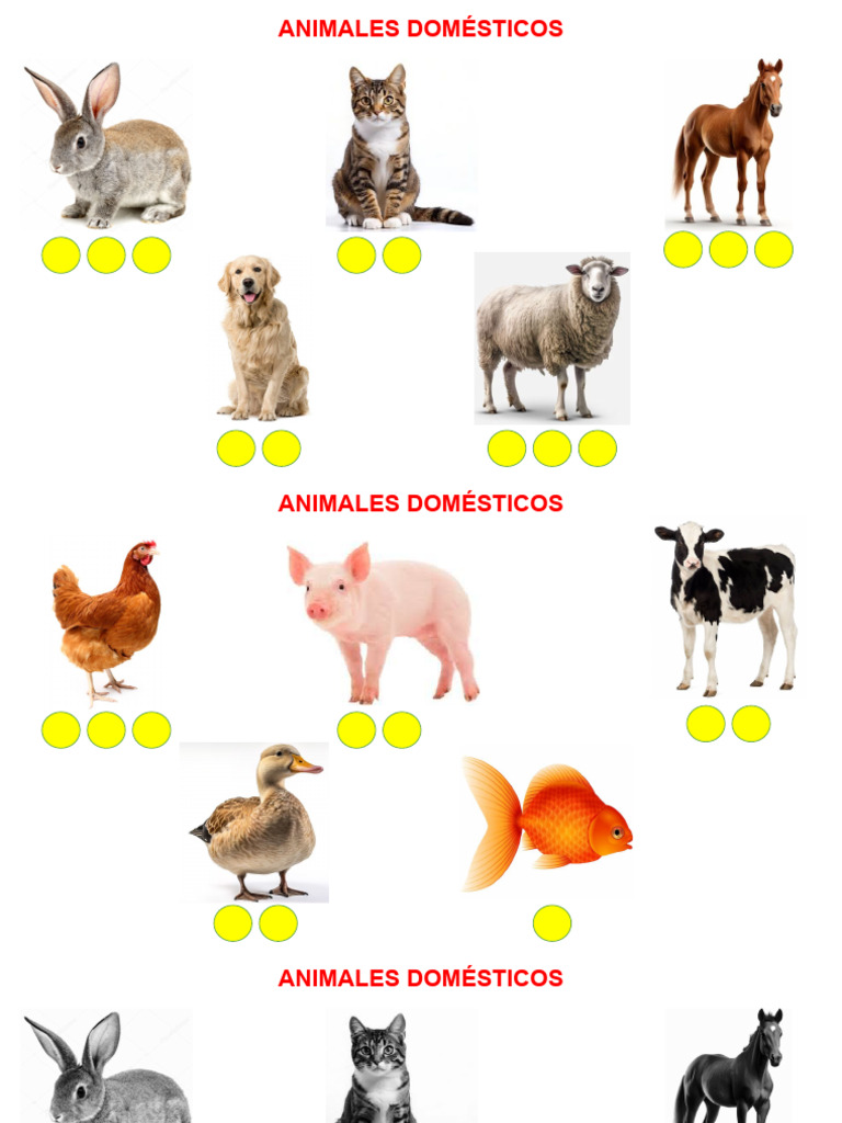 Animales Domésticos y Salvajes | PDF