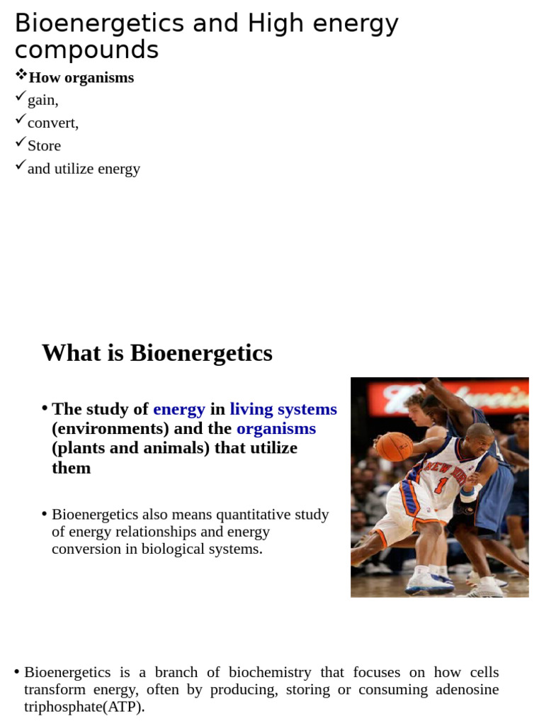 Bioenergetics and High Energy Compounds PPT. PHARM. GUD 1 | PDF ...
