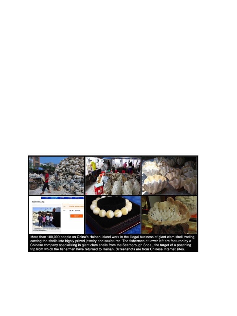 Petition to Protect Giant Clams | PDF | Coral Reef | Biology