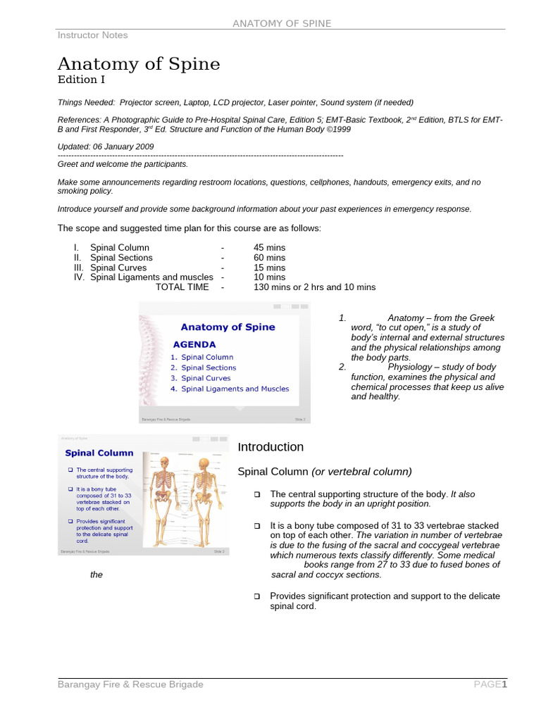 Comprehensive Spine Anatomy Guide | PDF | Vertebra | Pelvis