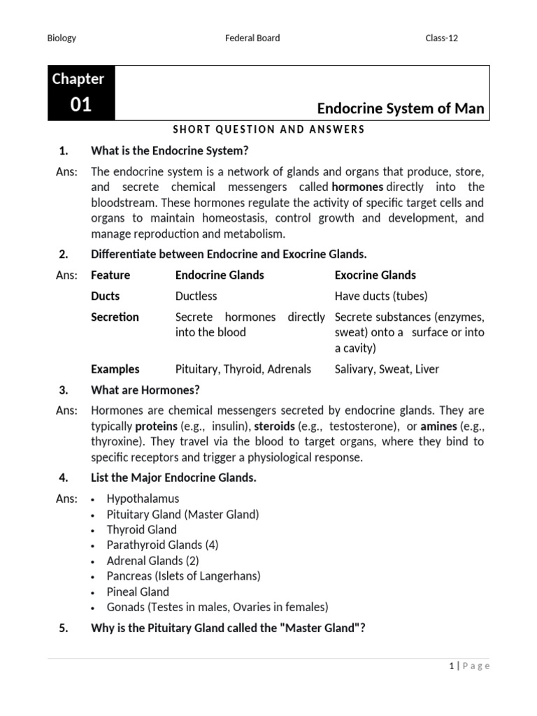 Endocrine System Overview for Class 12 | PDF | Endocrine System ...
