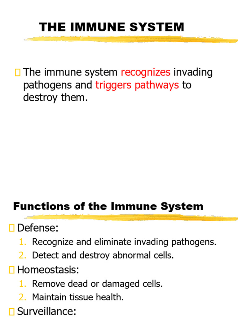 Immune System - 251025 - 124156 | PDF | Immune System | Adaptive Immune ...