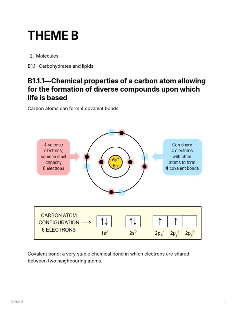 THEME B | PDF | Cell Membrane | Protein Structure