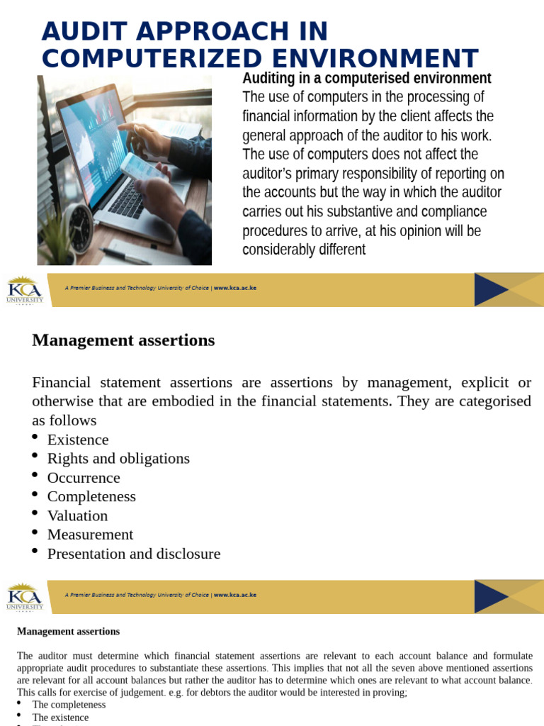 Computer Auditing | PDF | Audit | Risk