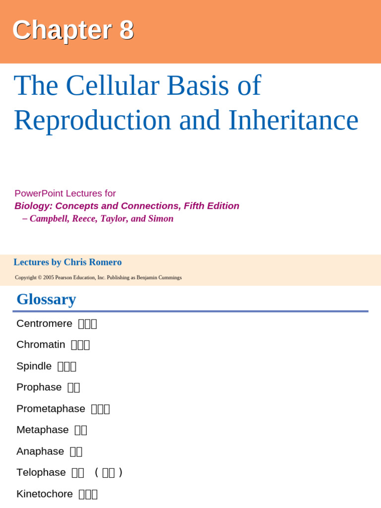 Chapter 8 - The Cellular Basis of Reproduction and Inheritance | PDF | Meiosis | Mitosis