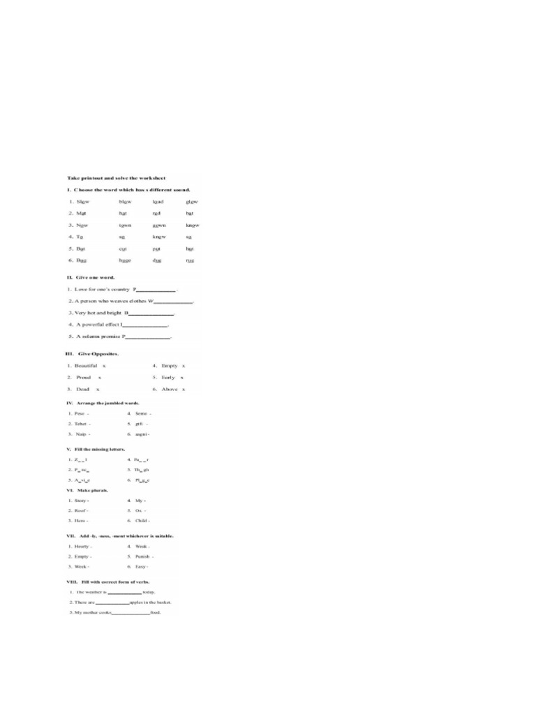 Class 5th Winter Holidays Worksheet | PDF