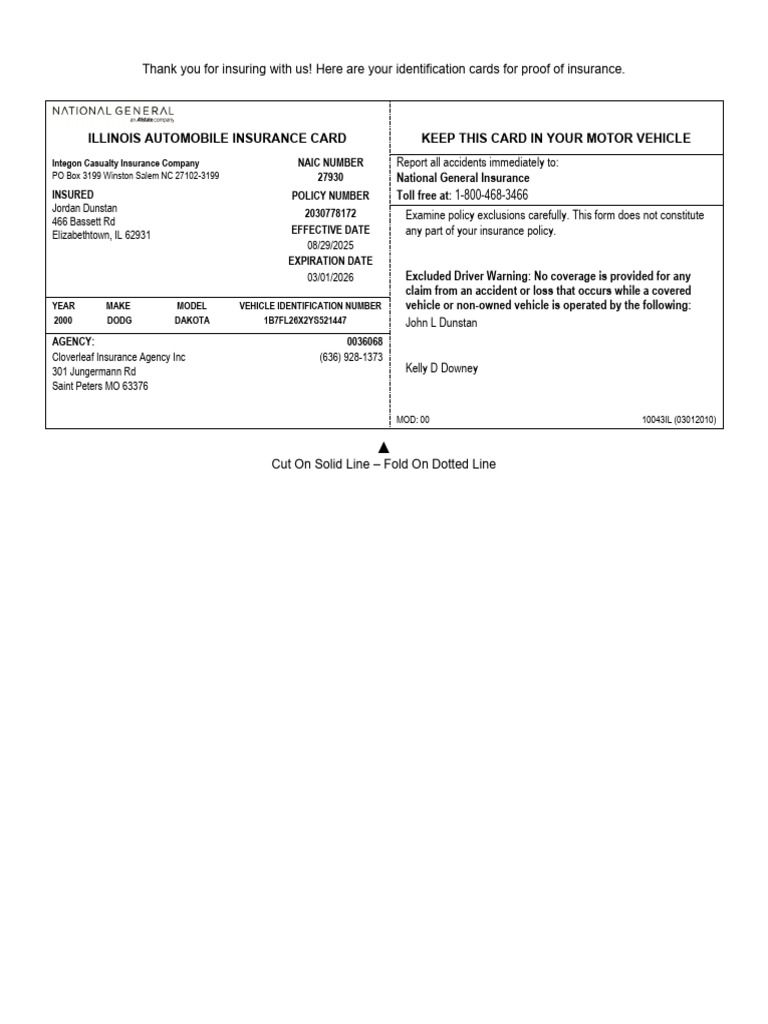 Illinois Auto Insurance Card Details | PDF