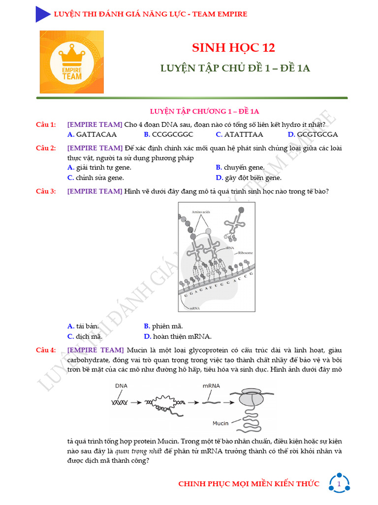 luy_n_t_p_ch_____1______1a_1754506198884709667213 | PDF