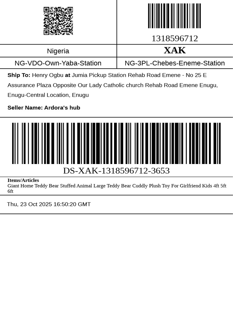 20251023t165021-Local Default Template NG | PDF