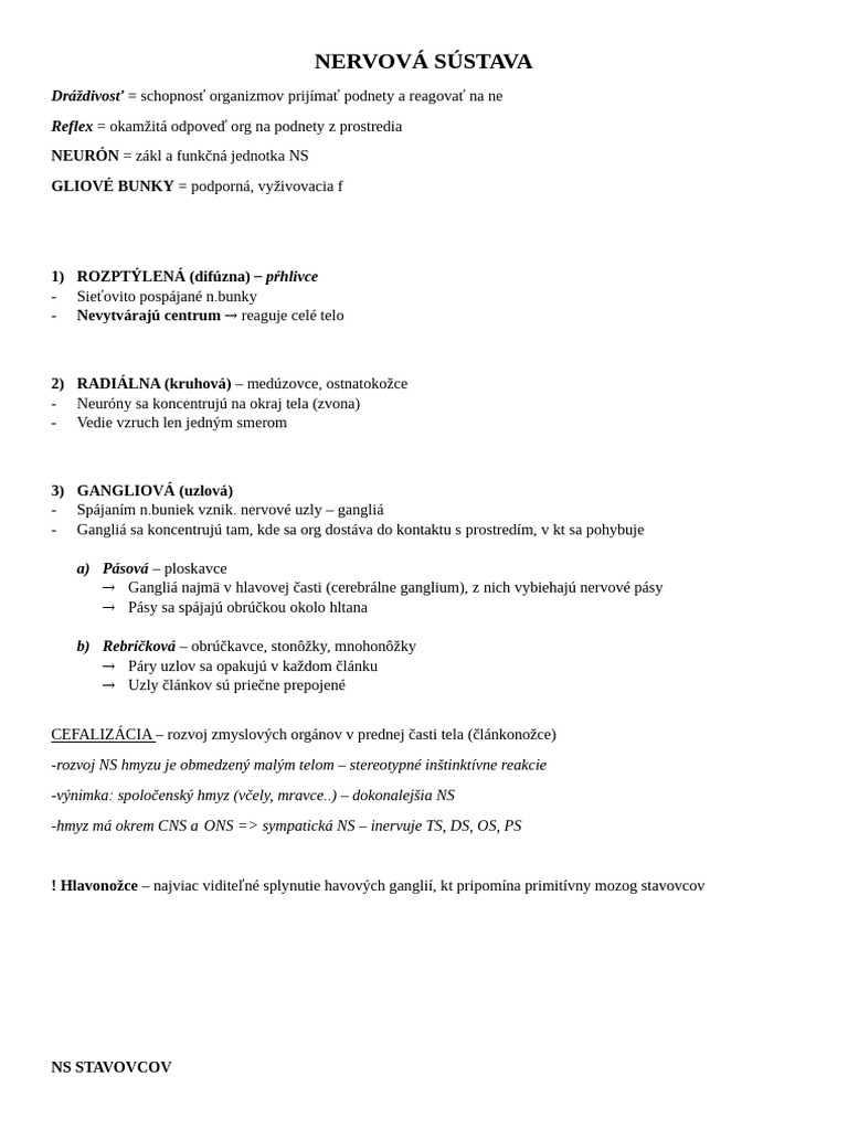 Nervová Sústava | PDF