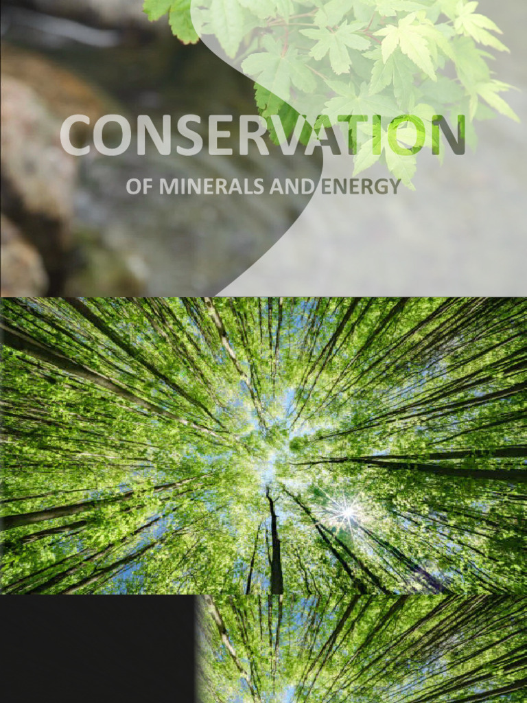 Conservation | PDF | Resource Depletion | Efficient Energy Use