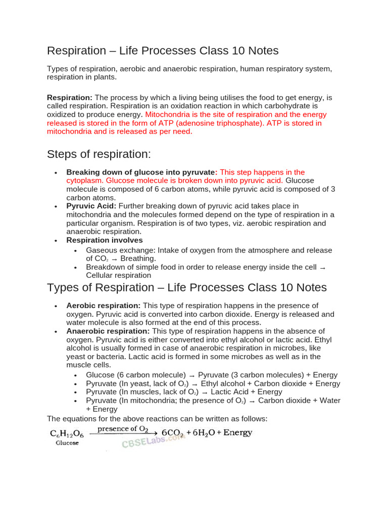 Respiration - Life Processes Class 10 Notes | PDF | Cellular ...