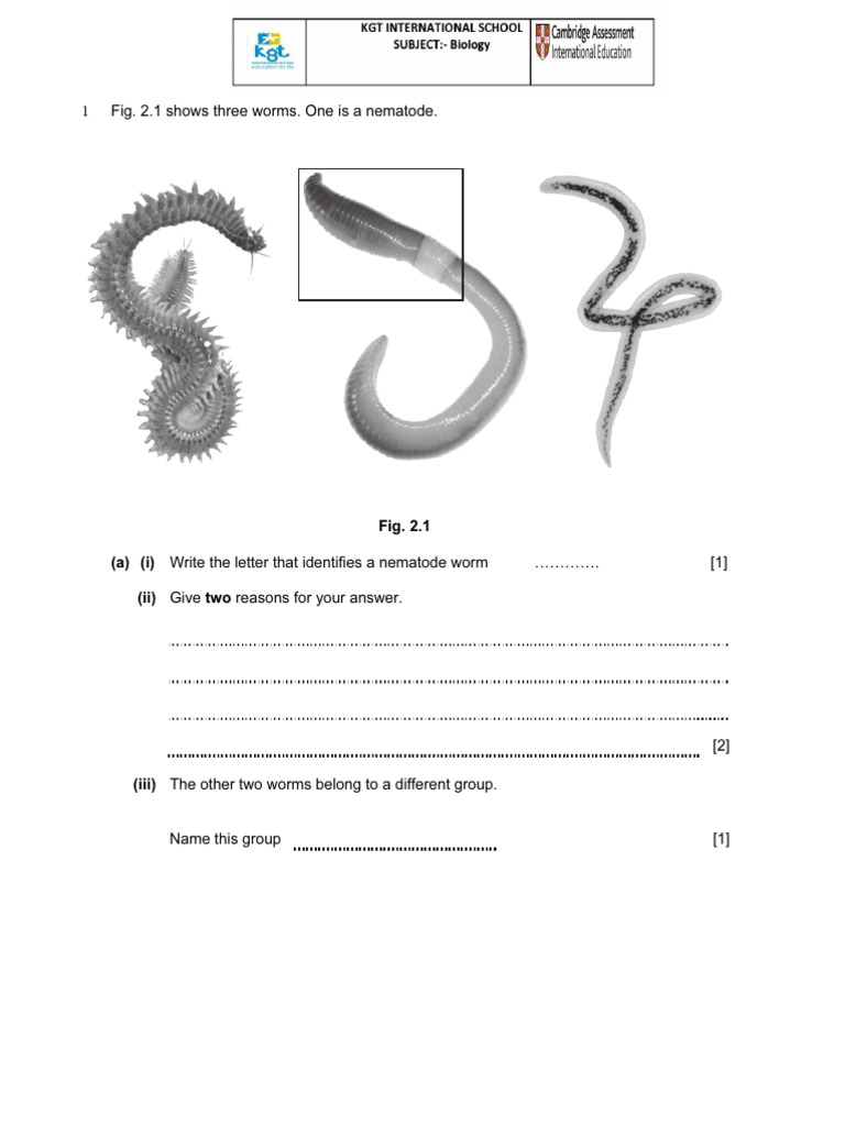 Fig. 2.1 Shows Three Worms. One Is A Nematode | PDF | Length